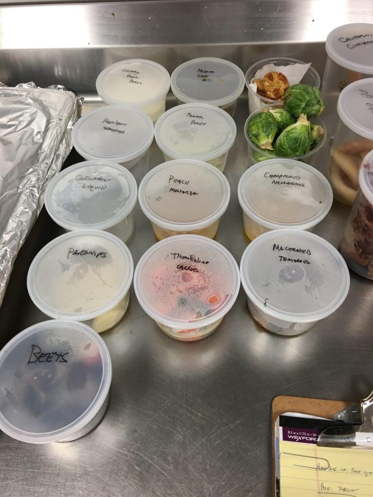 A Brief Reinvention – Michael Ponzio